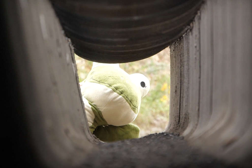 Frog crossing or a special path for brave amphibians in Biela púť ...