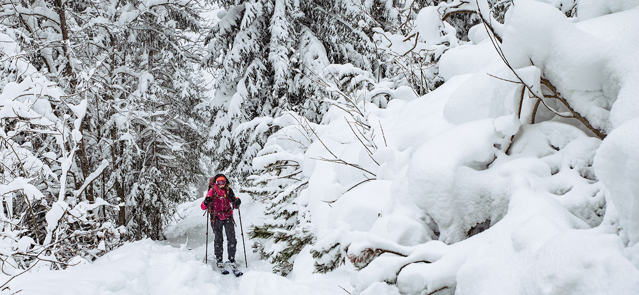 Zimná Uzávera 202526 Vysoké A Nízke Tatry Gopass